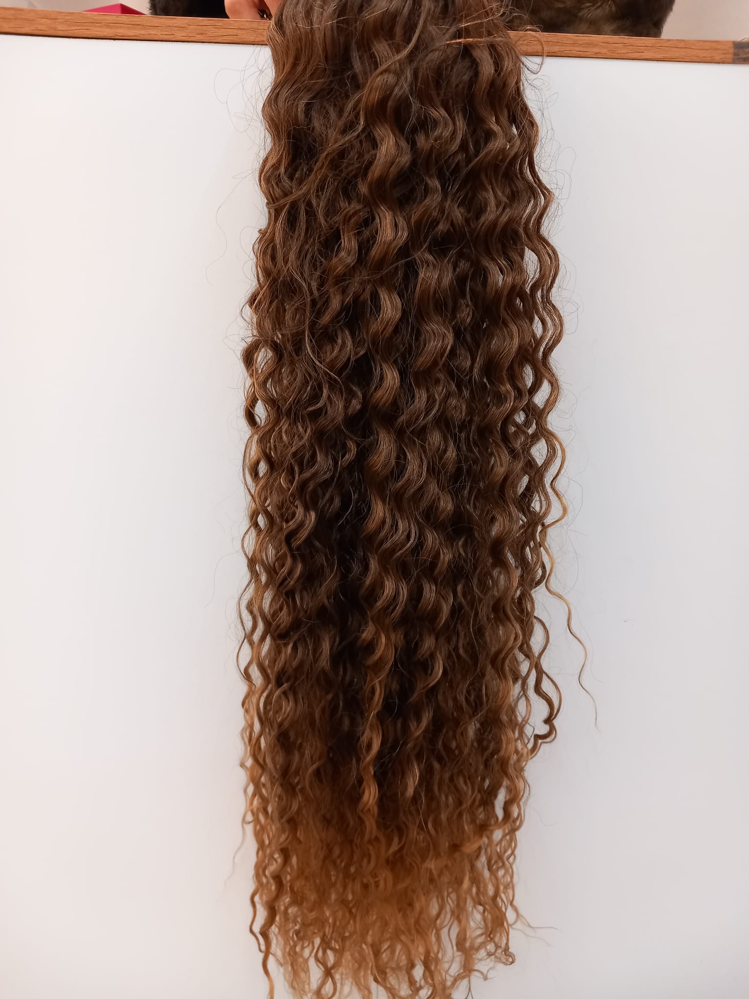 ´Rabo de cavalo - Baixa Coimbra